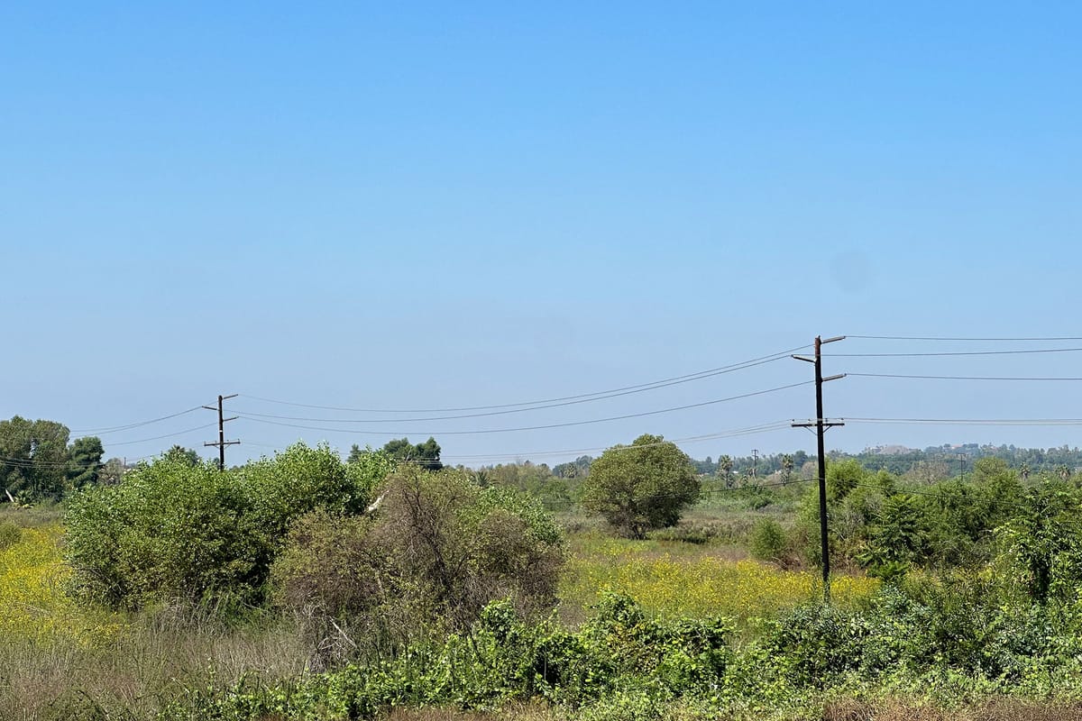 Letters to the Editor: Doing the Right Thing with RTRP