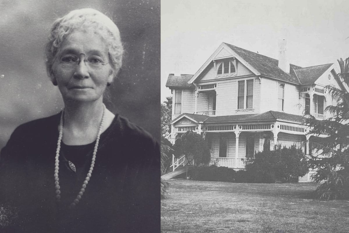 Mary Elizabeth Darling: Weaving the Social and Historical Tapestry of ...