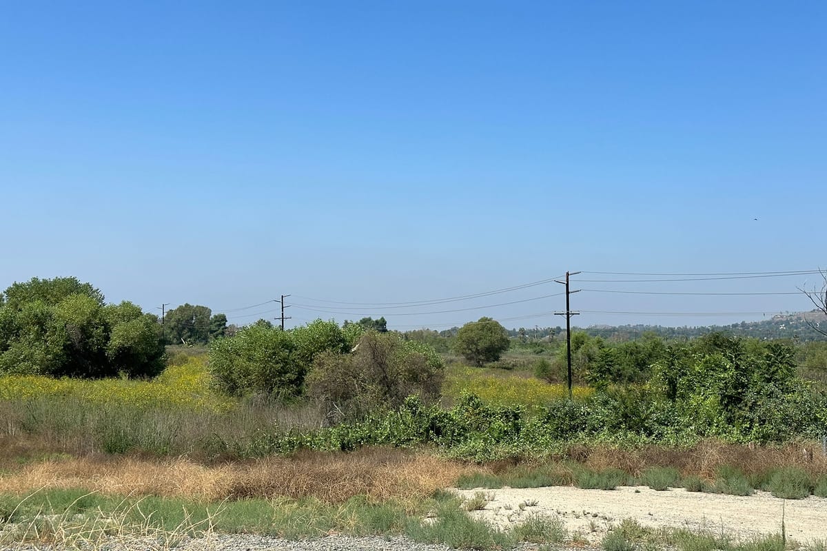 Regional Elected Officials Urge Riverside to Bury Power Lines Amid ...