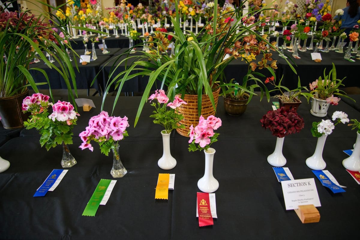 Historic 77-Year-Old Flower Show and Garden Tour Celebrates Citrus ...