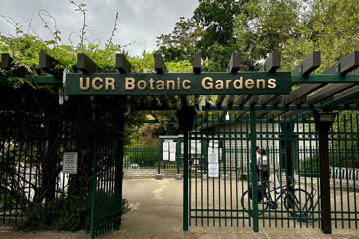 A Walk Through Riverside’s Living Plant Museum