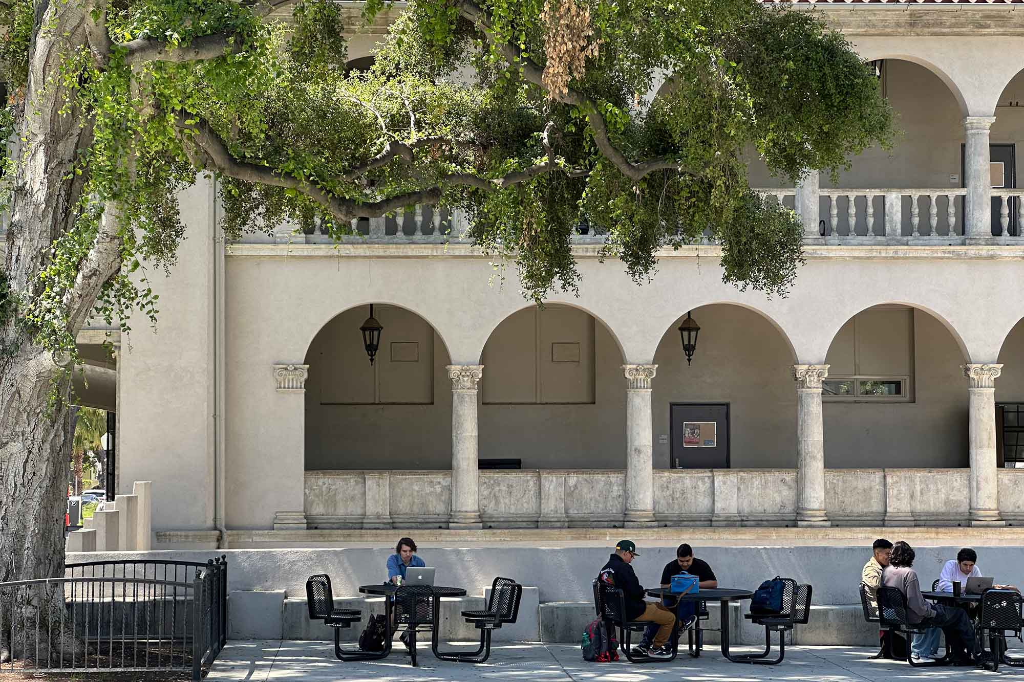 Riverside City College earns honor for urban forest stewardship