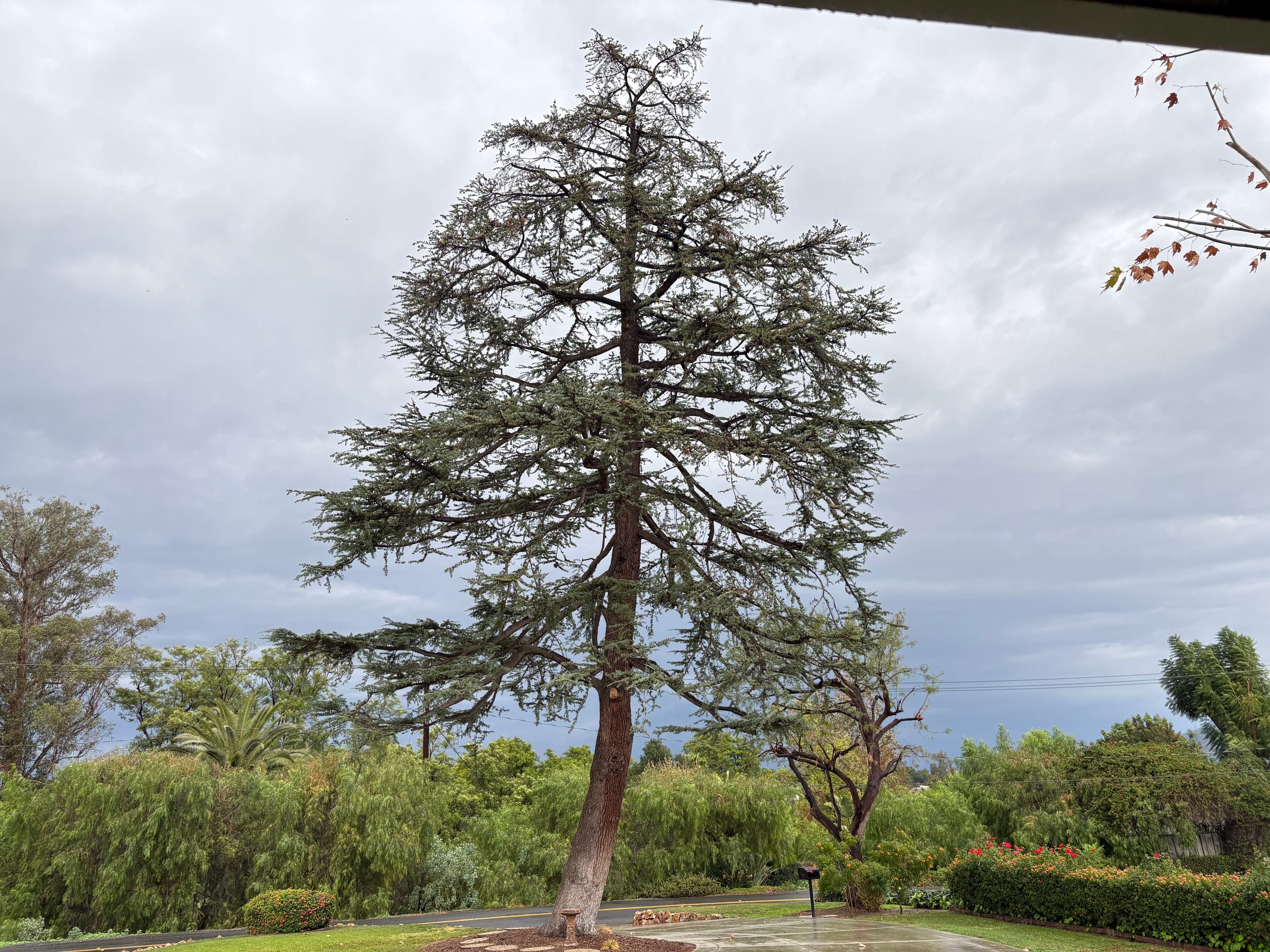 🗞️ Riverside News- December 28, 2025